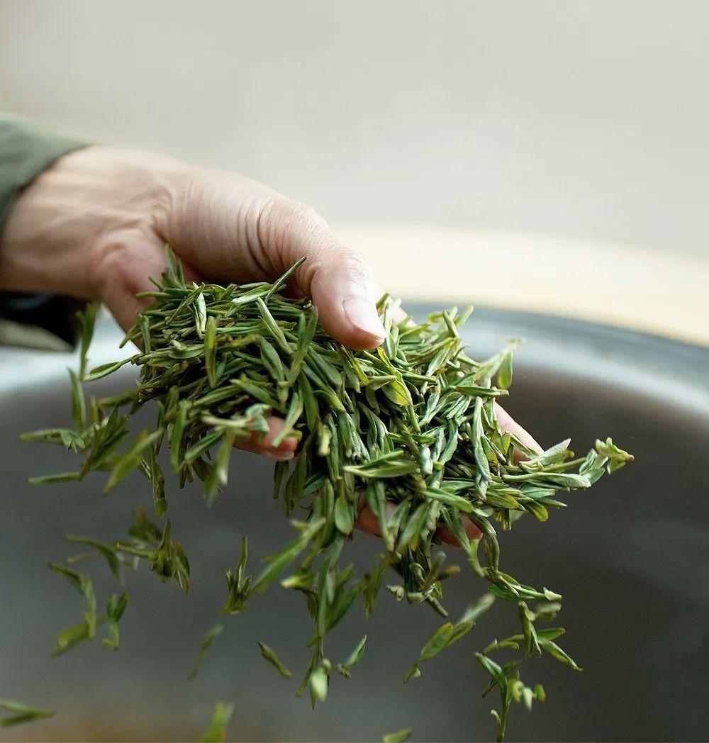 "Mingqian tea is as expensive as gold", the most tender West Lake ...