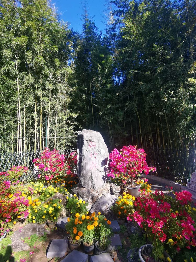 "Zheng Yumian" Hongluo Temple - iNEWS