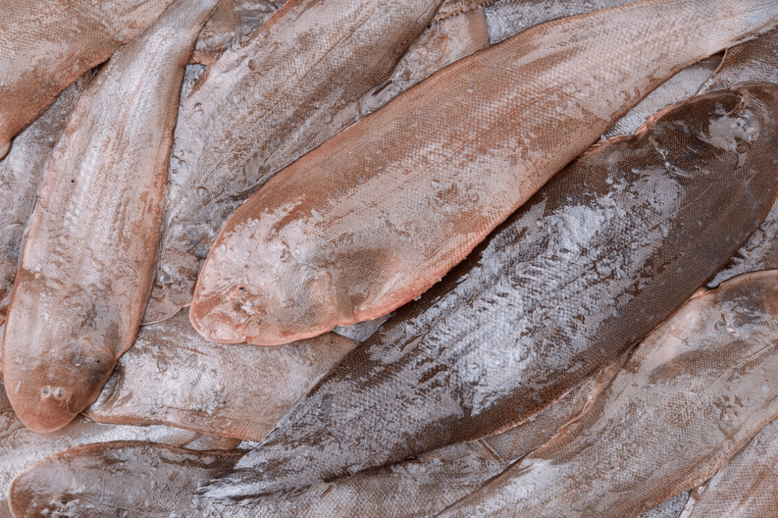 To eat fish in winter, smart people choose these 7 kinds of fish, which ...
