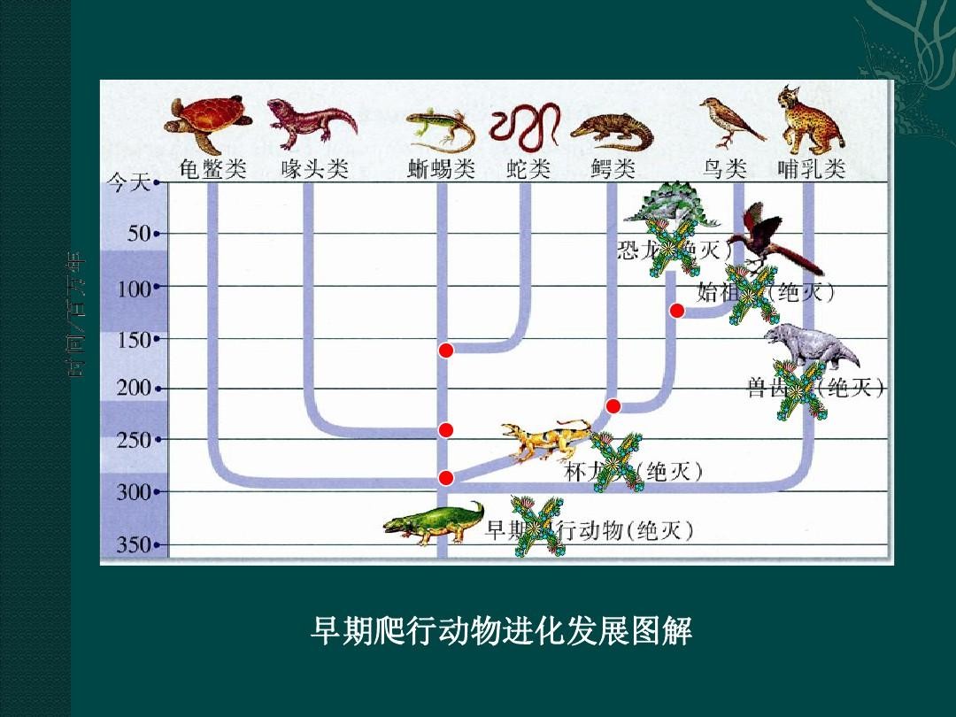 Evolutionary Code——Exploring the Mystery of the Origin and Evolution of ...
