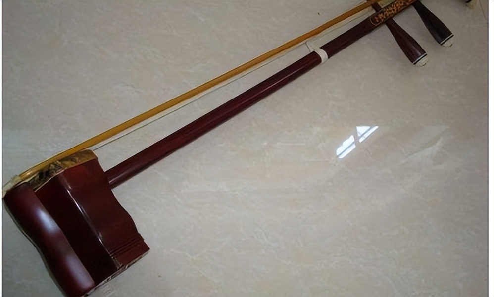 Exploring the development and inheritance of the musical instrument ...