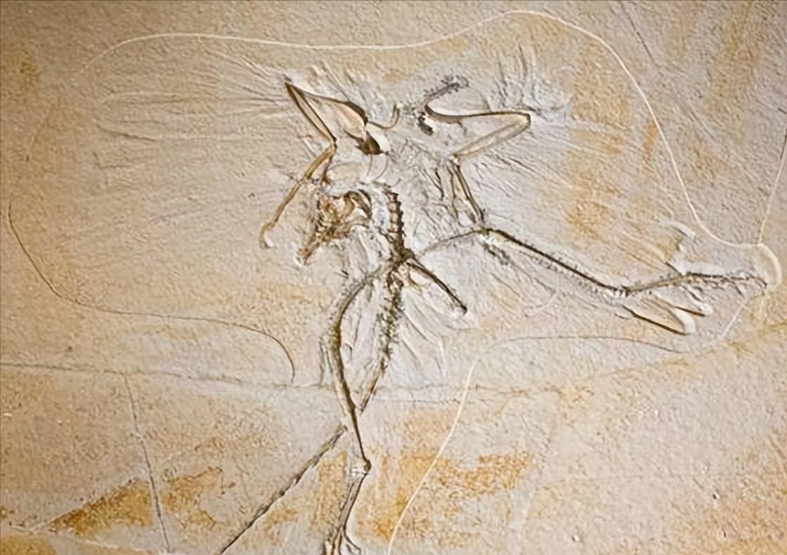 Scientists have discovered ancient mysterious manuscripts in an unknown ...