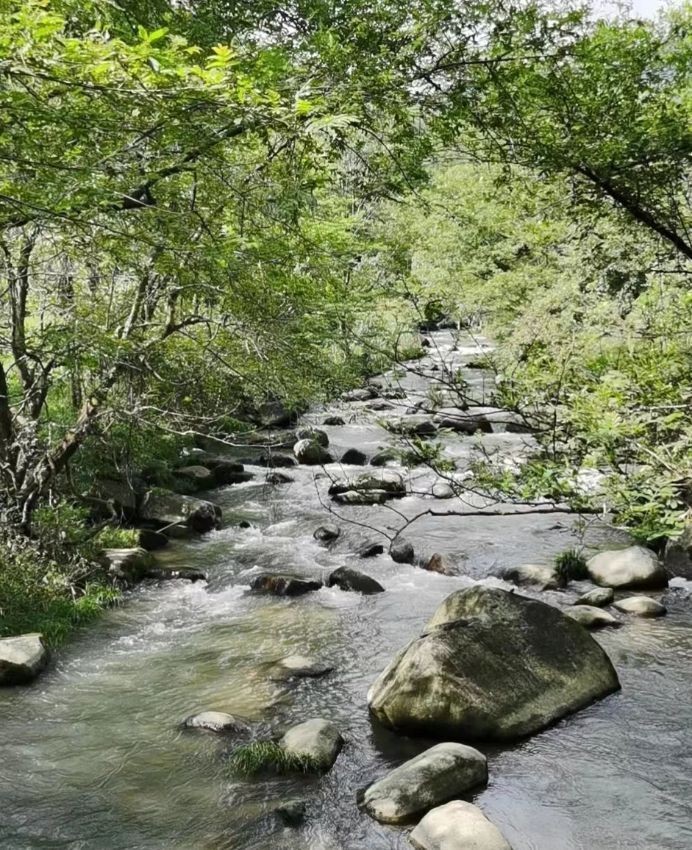 The "First Waterfall Group" in the south of the Yangtze River to view ...