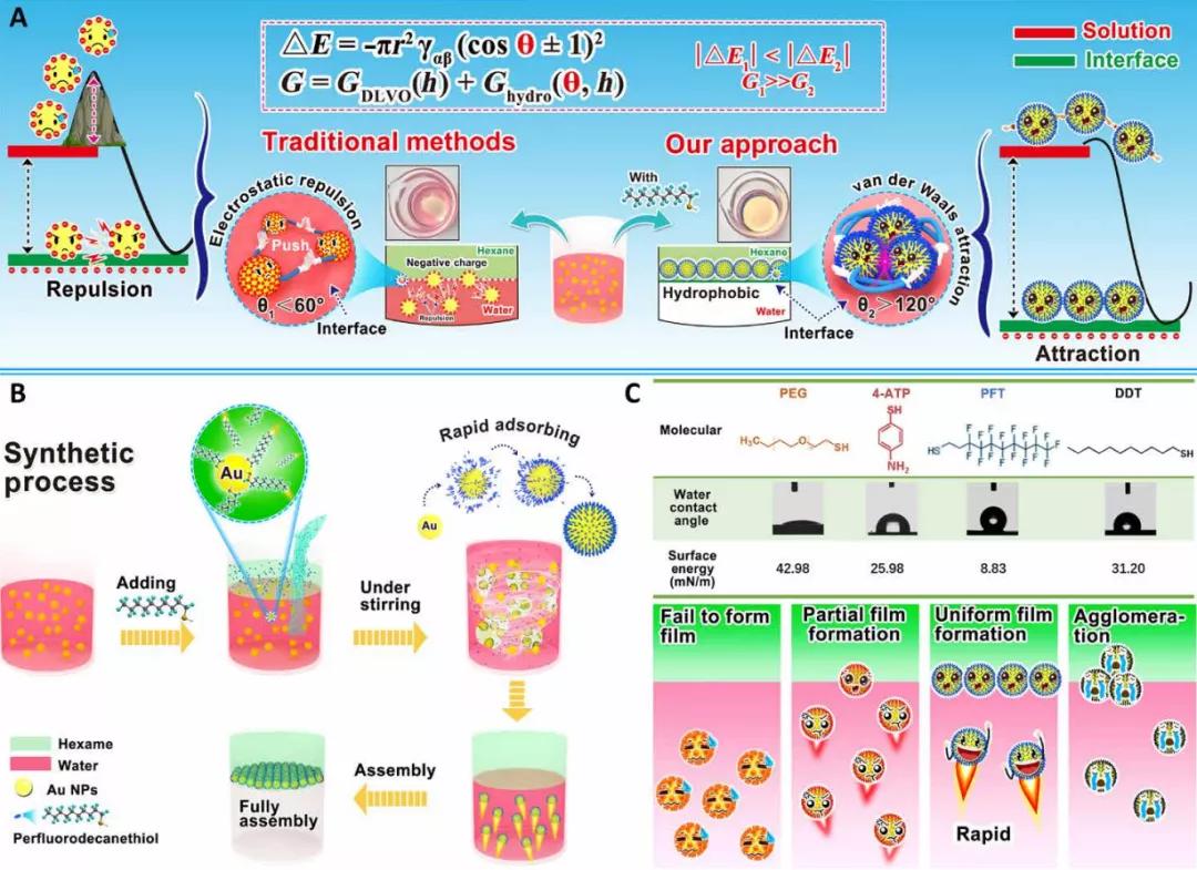 The particle assembly efficiency is as high as 97.5%!Chinese scholars ...