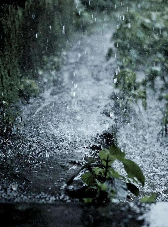 Poem "June Rain" by Liang Zengliang - iNEWS