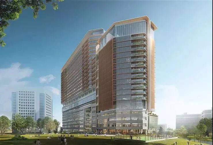 The Evolution of Hospital Design: Creating Healing Environments for ...