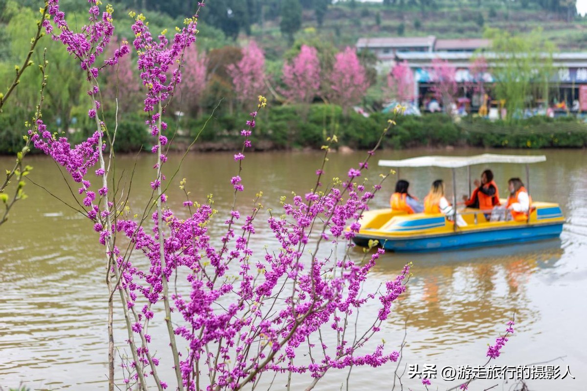 "Traveling Lemon Country" Country Tour: Baosen Lemon Tourist Area ...