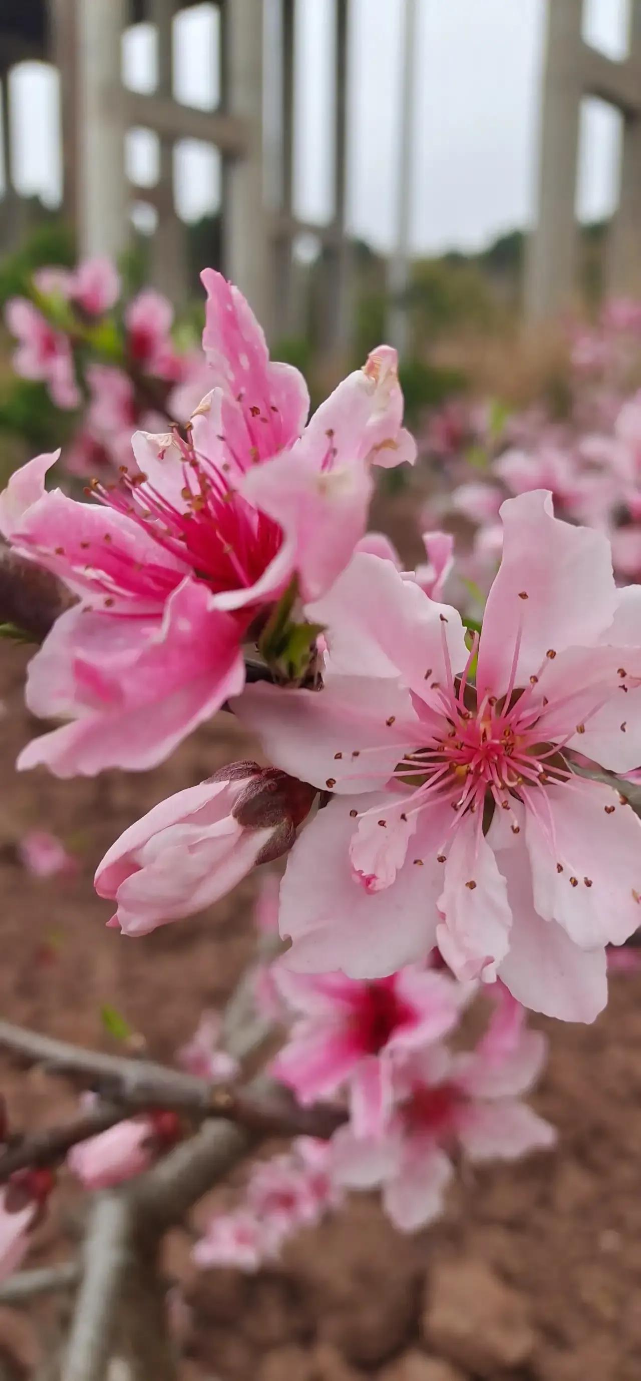 The difference between state affairs and state affairs - iMedia