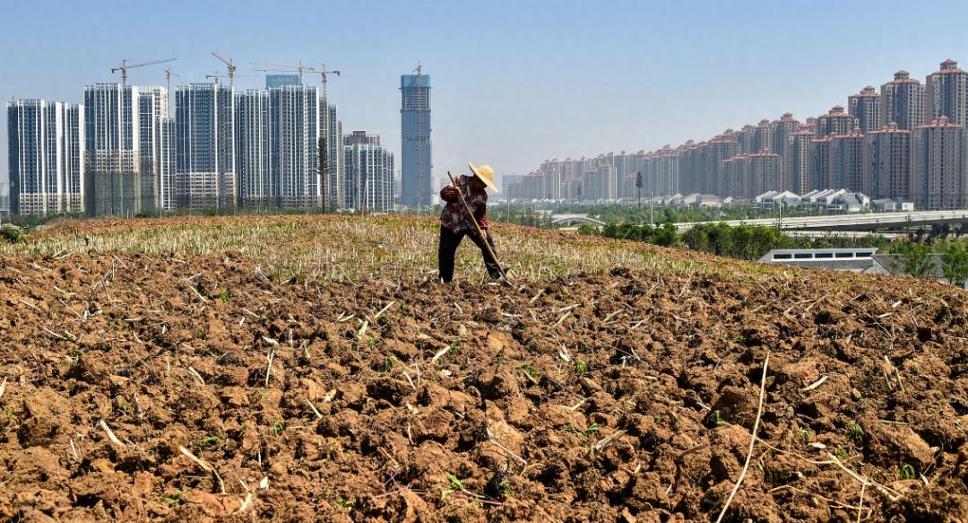 From becoming famous overnight to disappearing now, how did Wei San ...