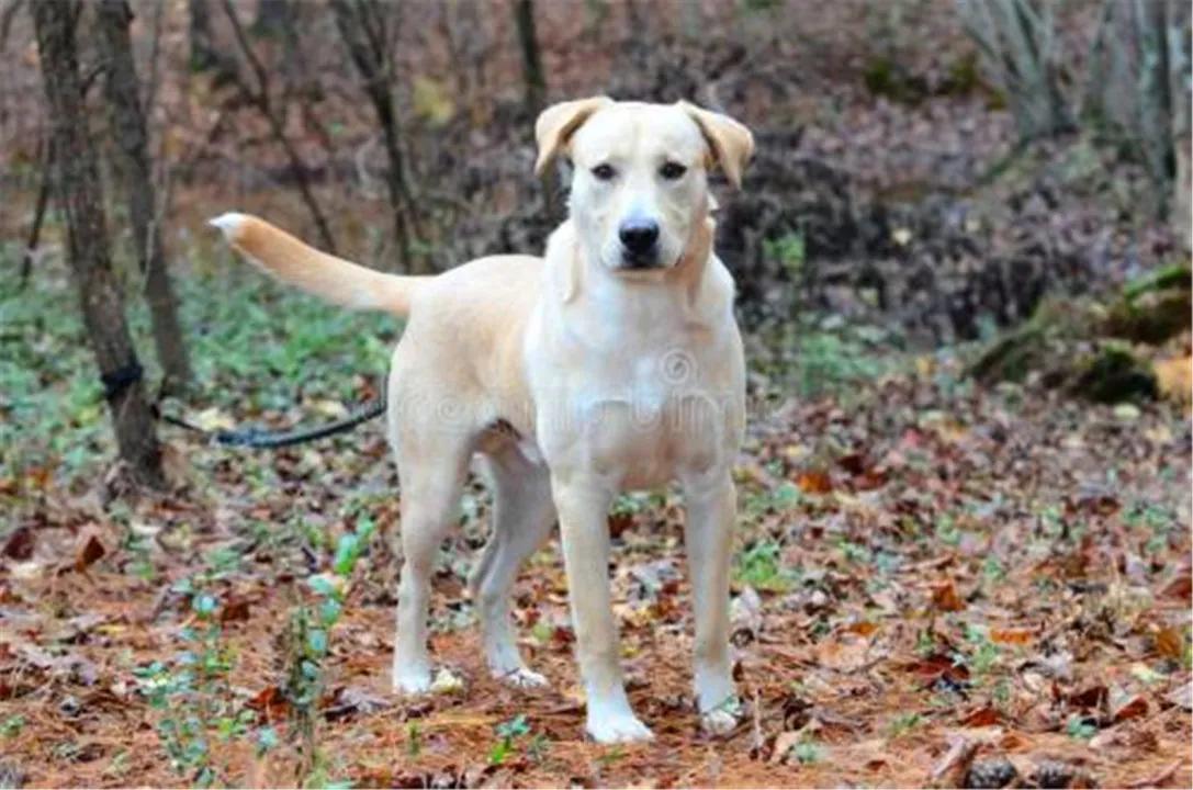 Buddha's Endless Giving - iNEWS