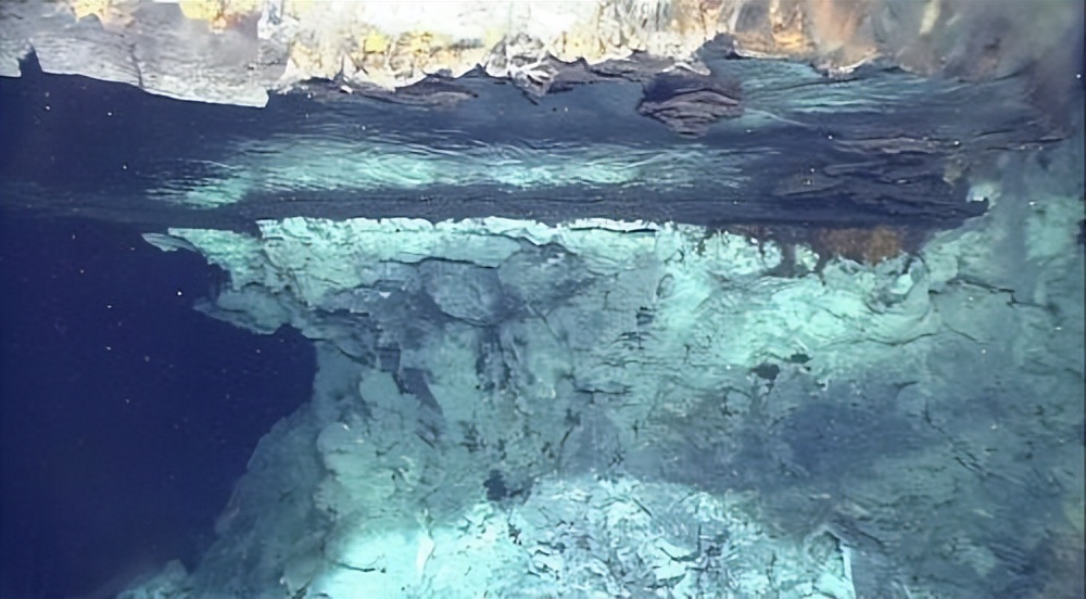 How important are submarine hydrothermal ecosystems in earth science ...