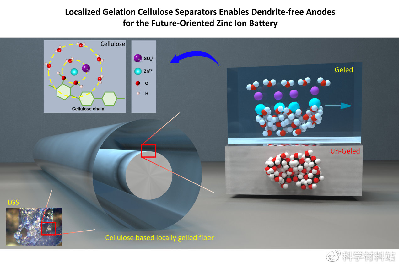 Partially gelled cellulose separator provides dendrite-free anode for ...