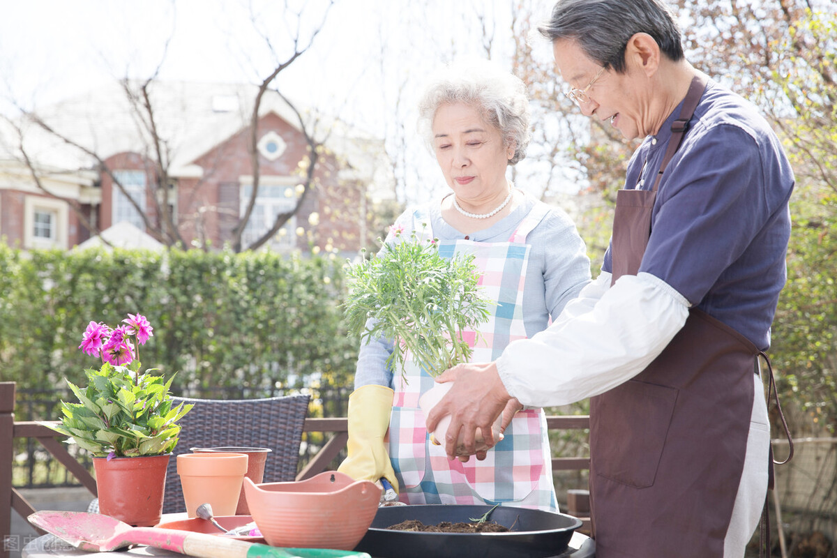 In old age, these types of elderly are the most comfortable.It's not ...