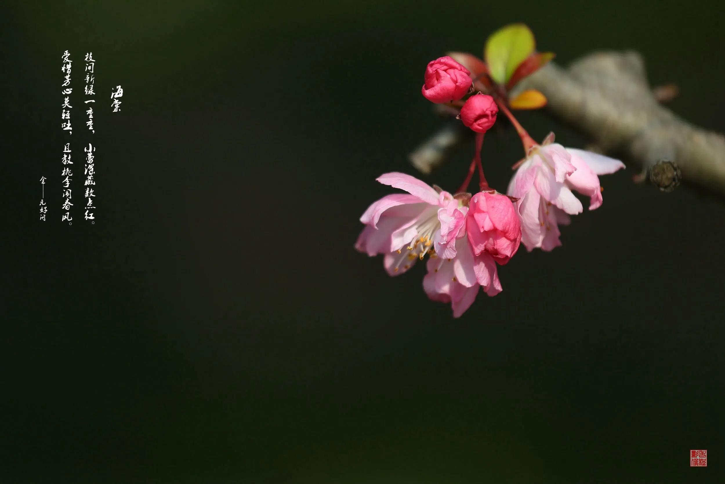 [Hua Xin Poetry Talk] (18) Mulan: Should add a tree girl Huawen/Song ...