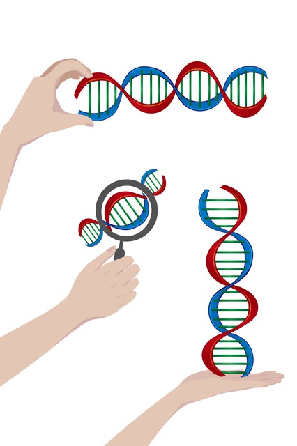Genetic programming brings human beings into the era of biological ...