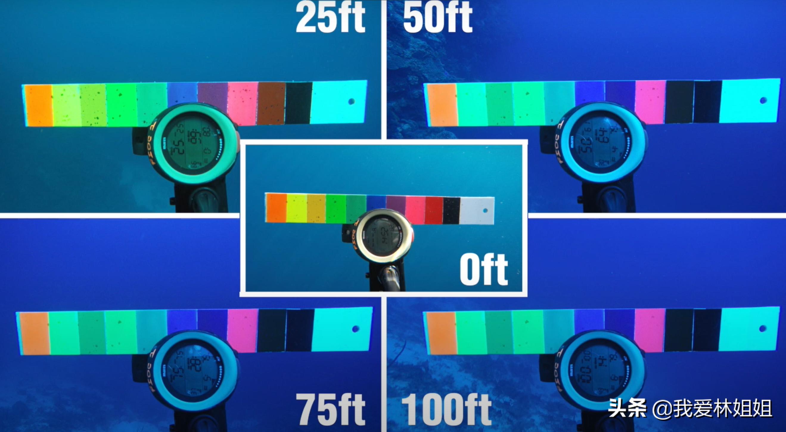 Why is blood green in deep water? - iNEWS