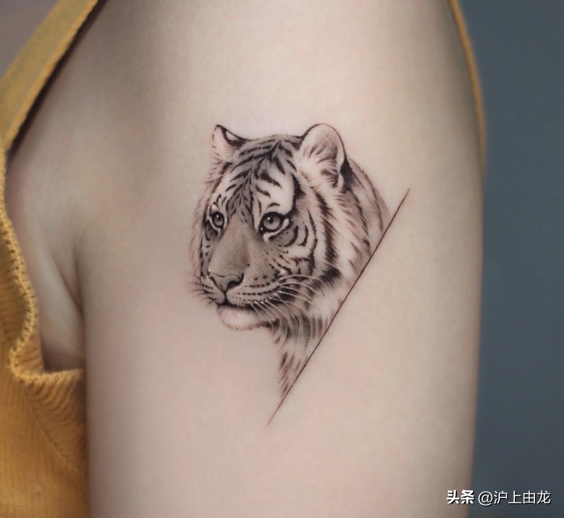 Today may subvert your cognition, a big wave of small tiger tattoos ...