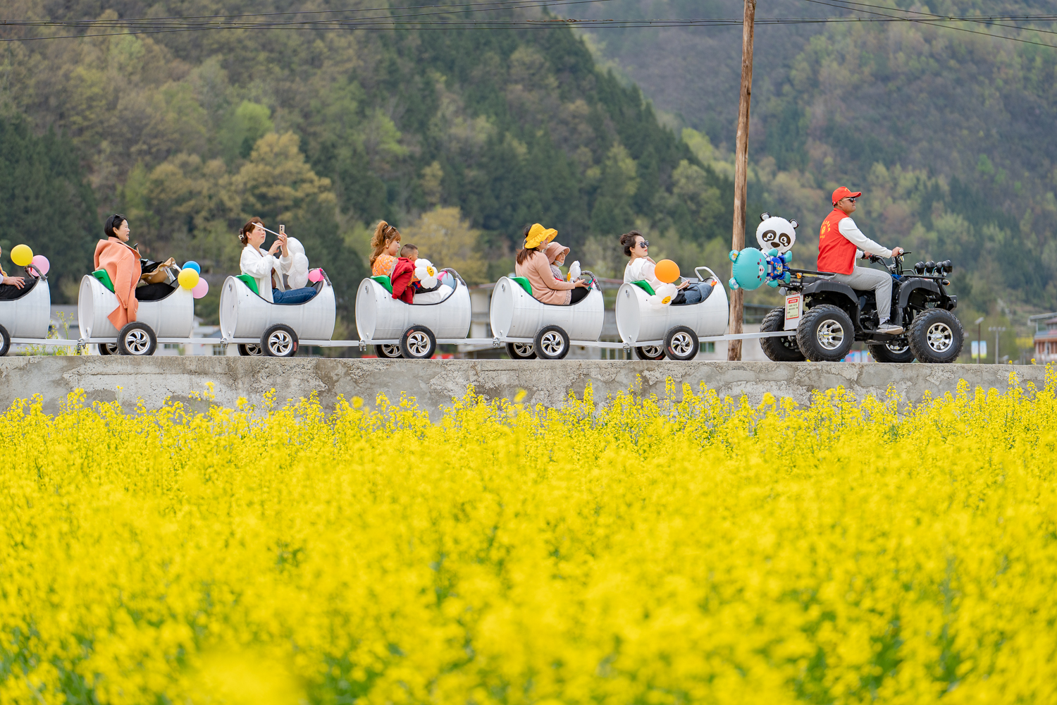 Go to the grand event of Bashan Chunhua together! Take you to enjoy ...