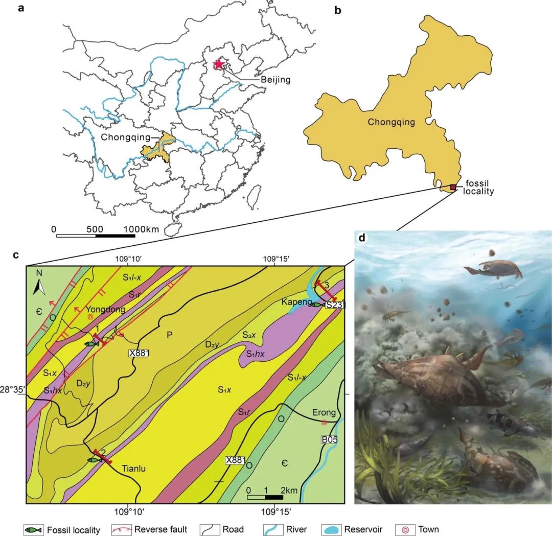 From fish to man, did humans actually evolve from fish? - iNEWS