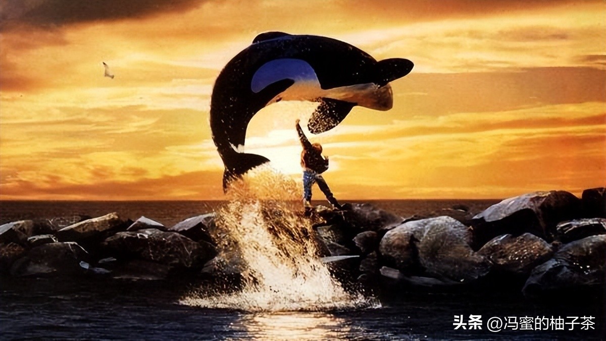 In the movie "Whale Rider", the legendary story of national inheritance ...