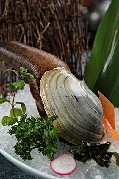 Elephant clams are here - iNEWS