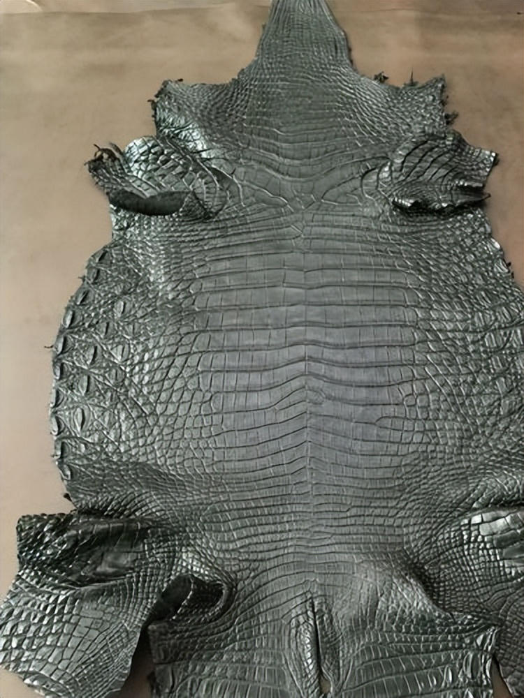 Crocodile leather: a unique and luxurious fashion material - iNEWS