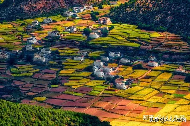 My mood, my poems——Gift to Ting Fu - iNEWS