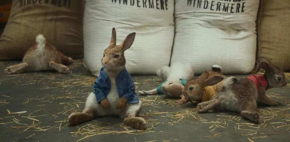 Taika Waititi: New Zealand humor wit conquers Hollywood - iMedia