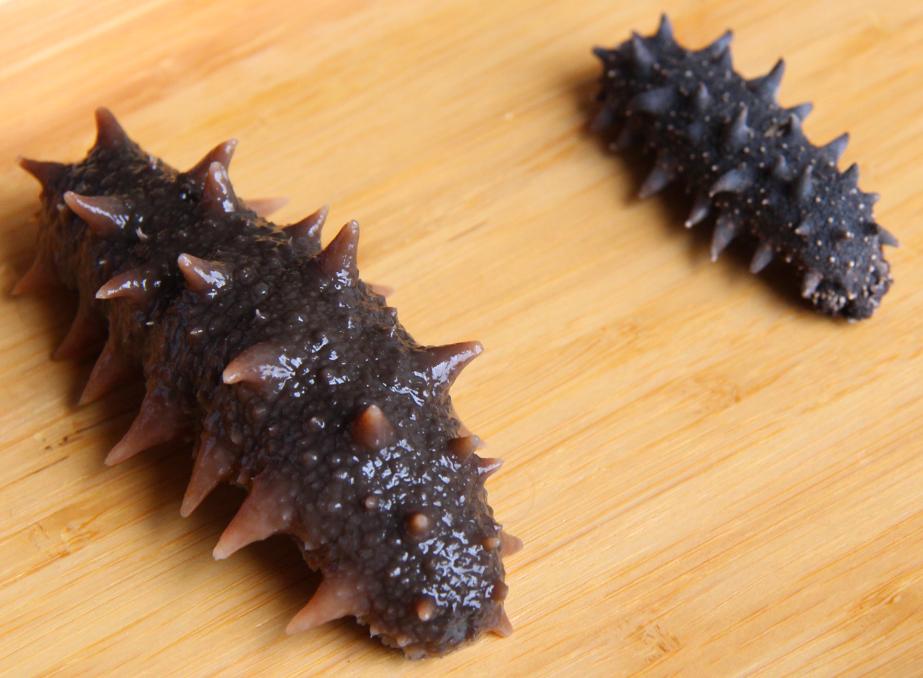 Is symmetry the aesthetics of animals? Meet These Asymmetrical Animals ...