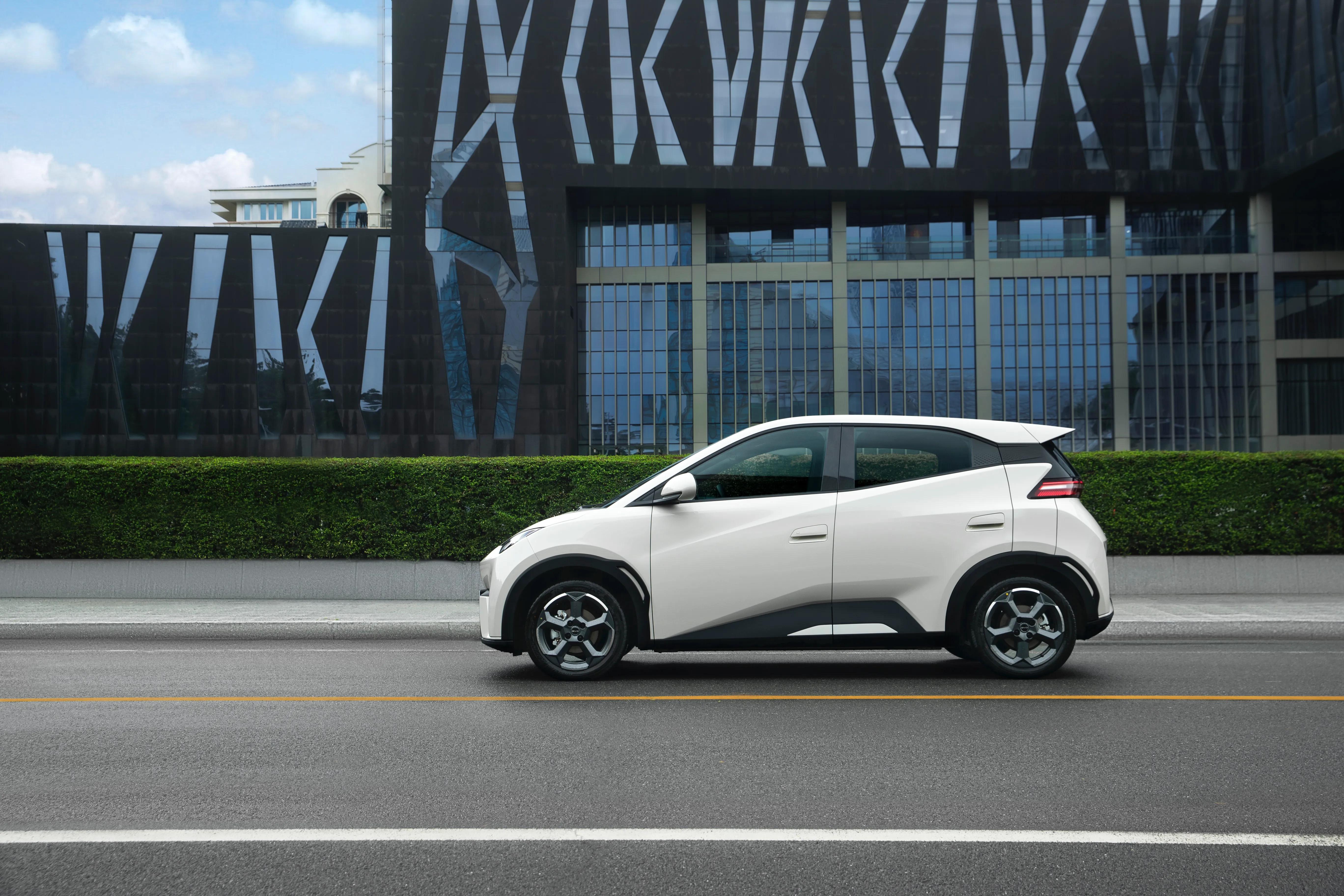 Seagull's new color scheme is here, get it quickly! - iNEWS