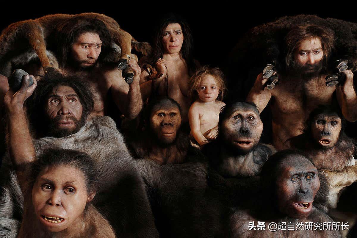 Chinese ancestors are not in Africa at all!Where did humans originate ...