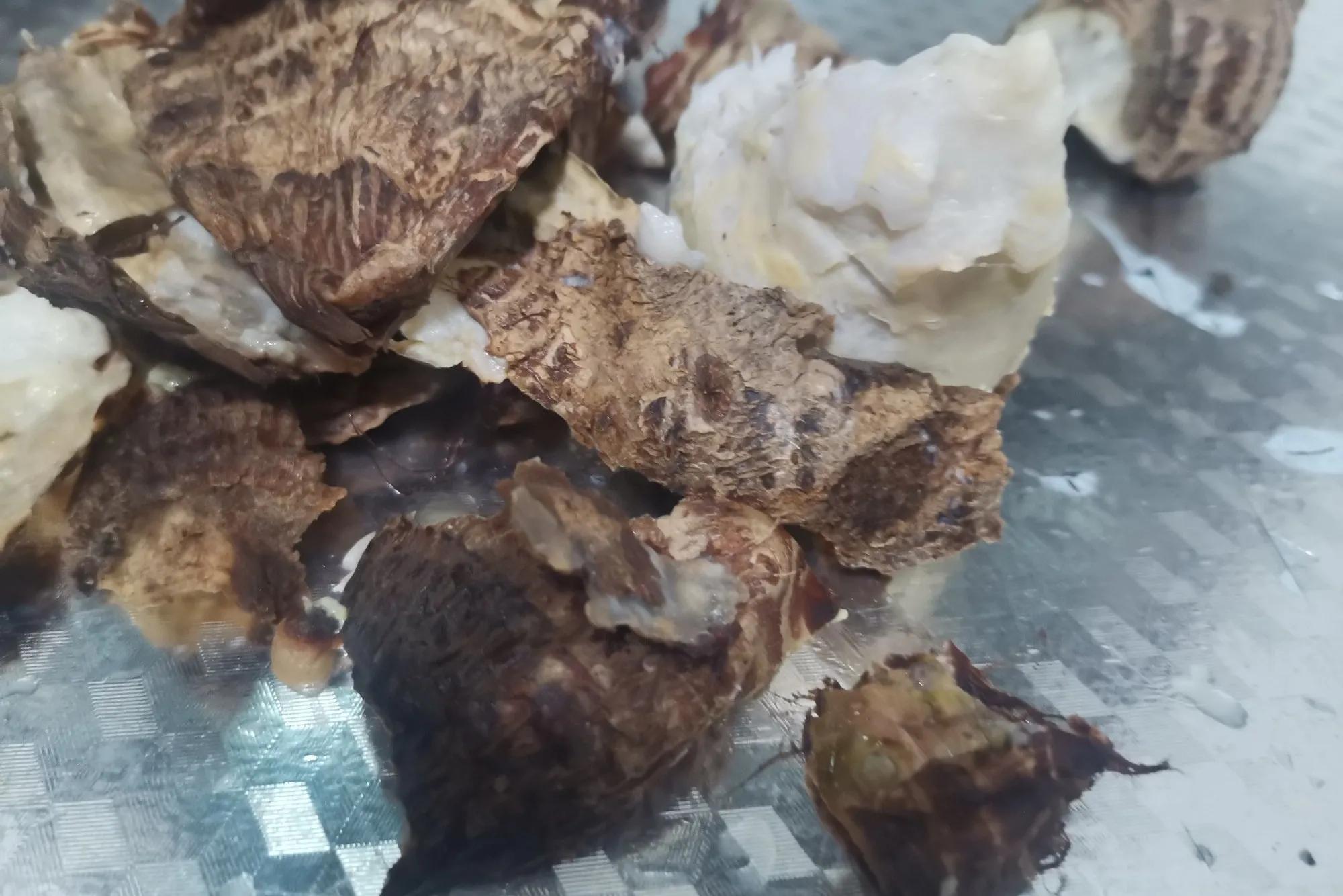 Farming Notes: Taro Dumplings Wrapped with Black Rod Taro - iMedia