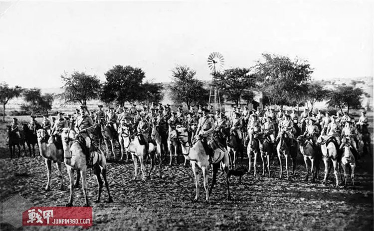 Special cavalry - the history of camels in war - iNEWS