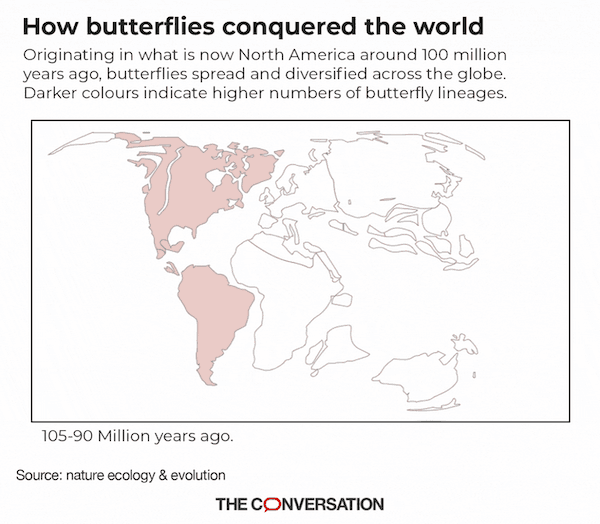 Butterflies' million-year evolutionary journey: New 'family tree ...