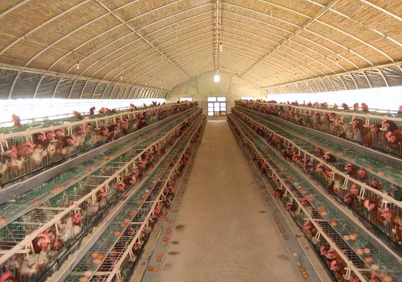 What is the development trend and prospect of the breeding industry ...