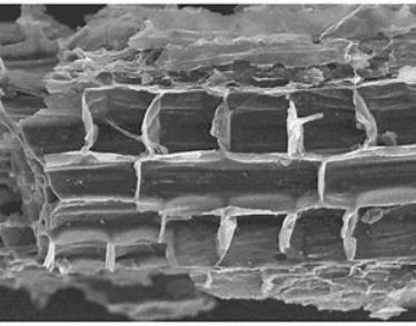 What is the effect of regulating the pore structure of activated carbon ...