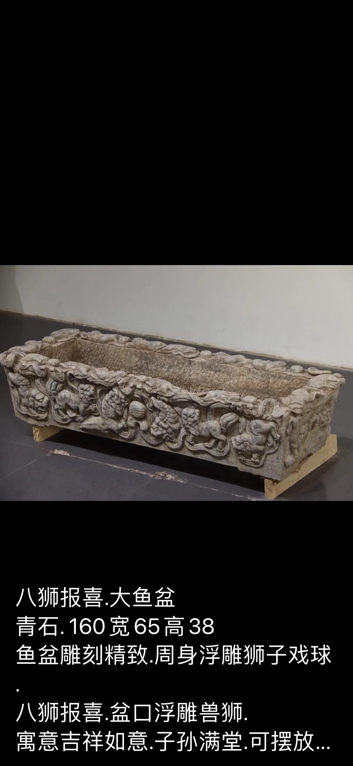 Eight lions announce good news. Big fish basin - iMedia