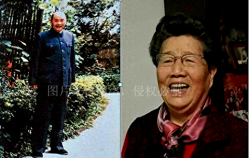 Well-known director Mi Jiashan: What is your current life situation ...