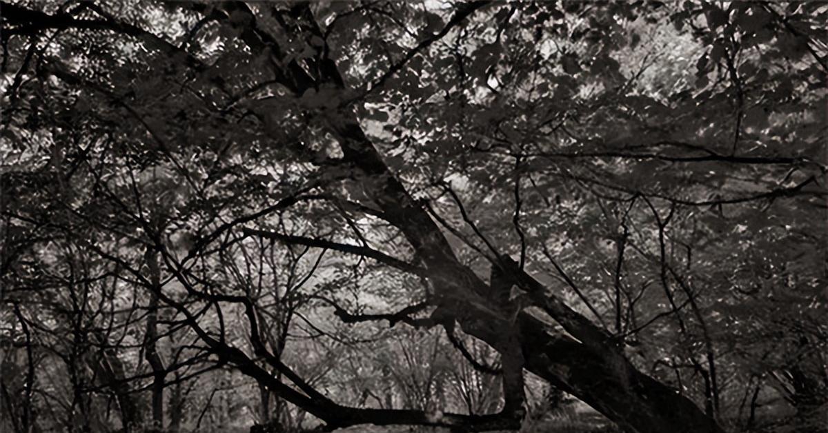 Where did the four most mysterious monsters in the world come from? It ...