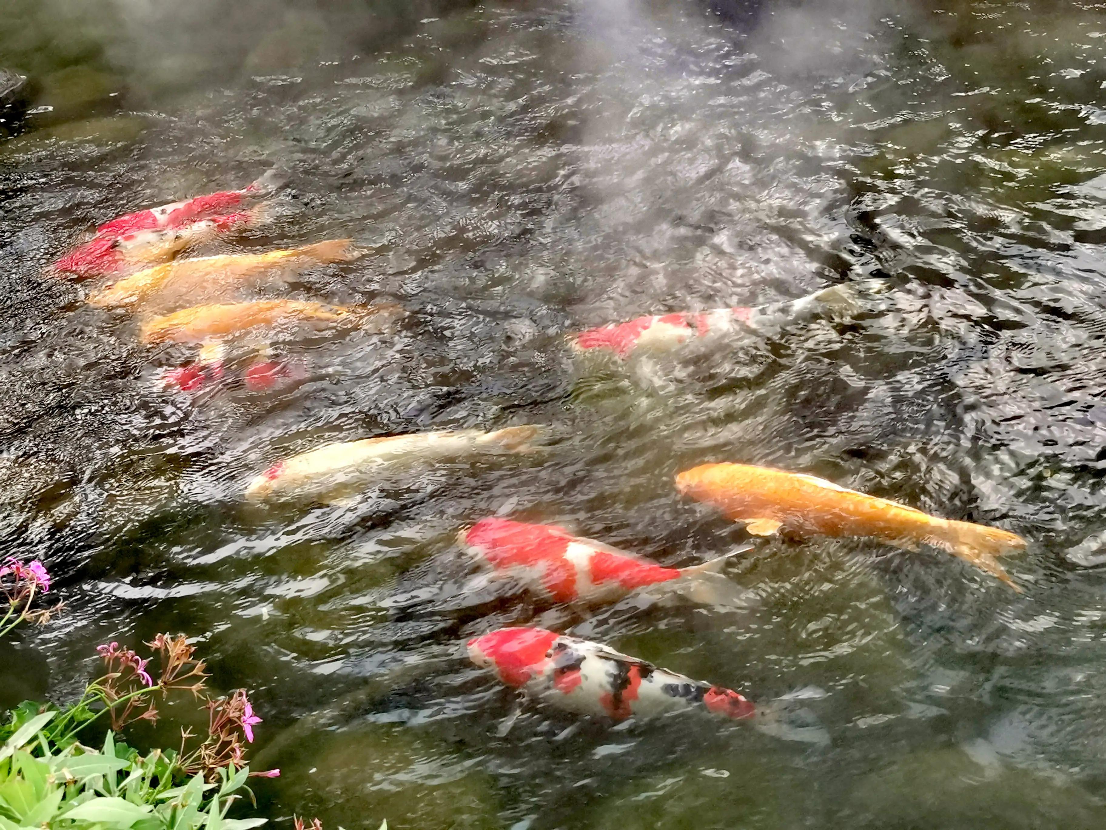 Luo Hong Photography Art Museum - iNEWS