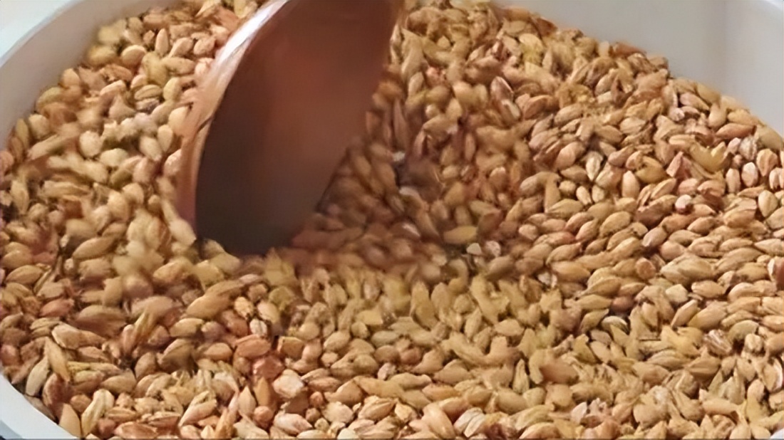 Study of cellulose in barley advances understanding of its role in ...