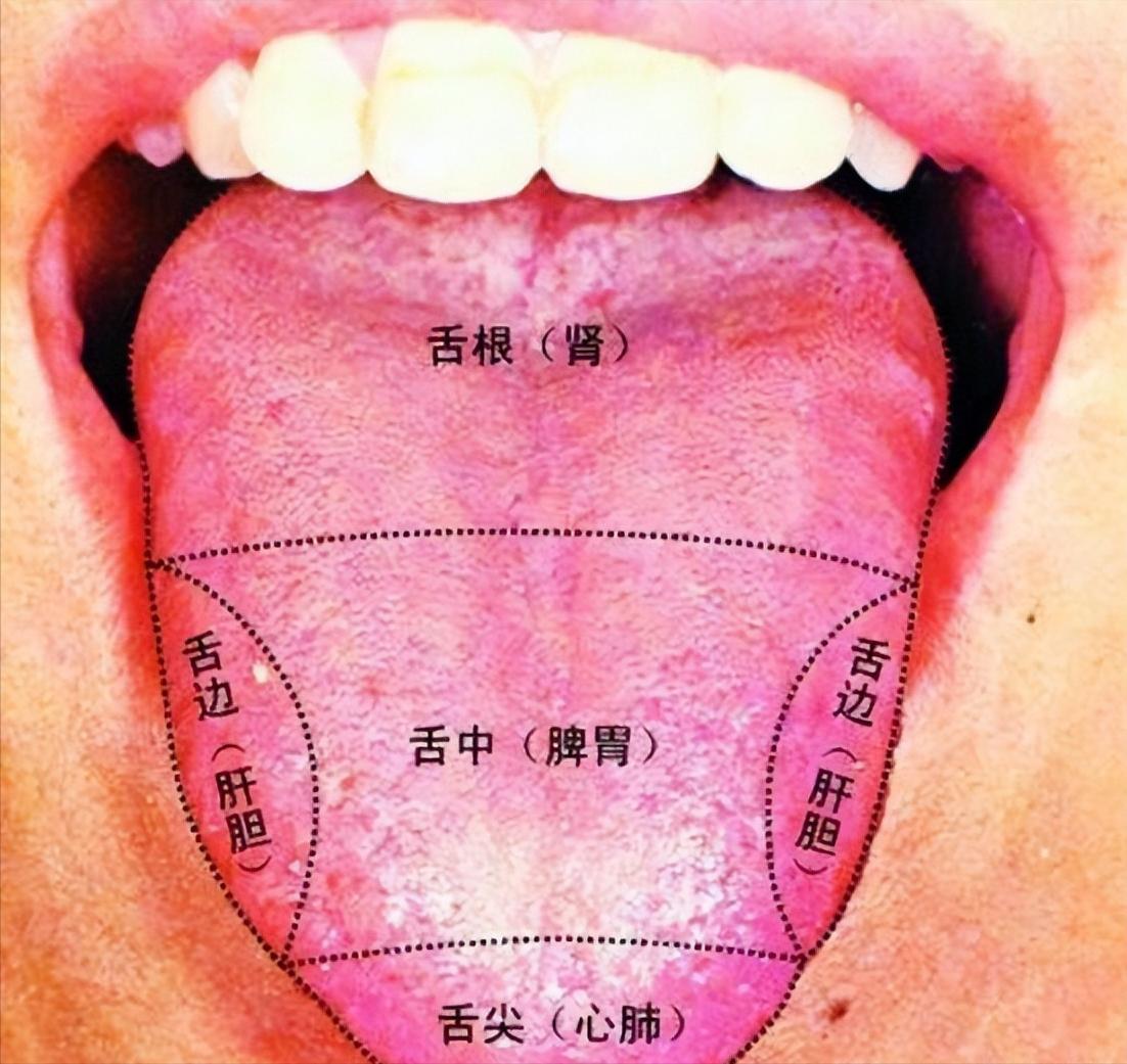 How about your body, the tongue will never lie!Learn to distinguish ...