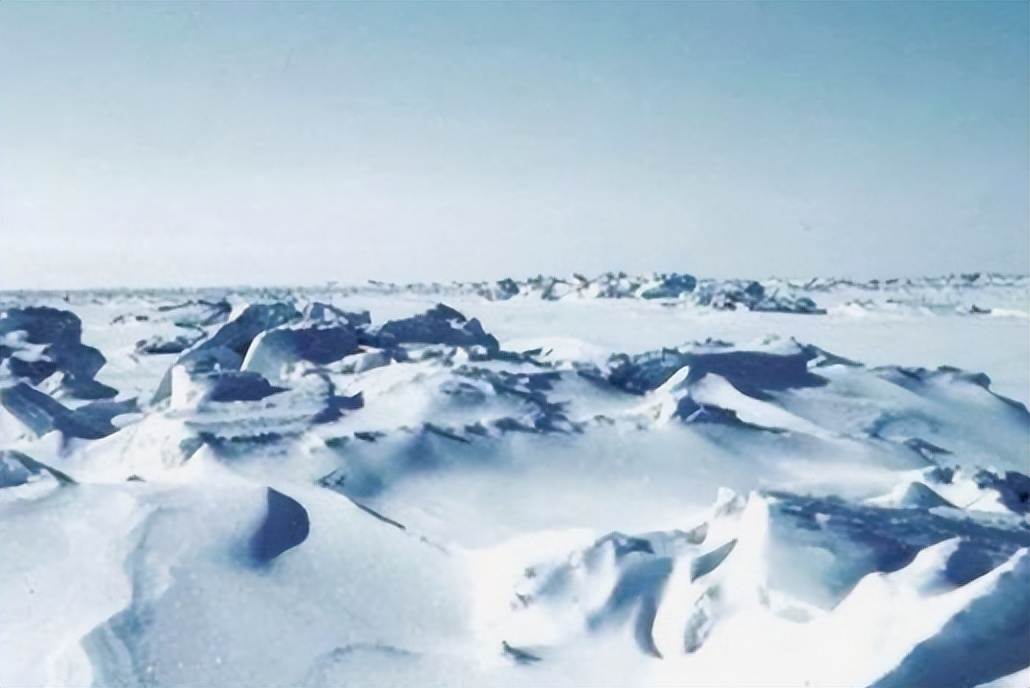 More than 500 years ago, a strange disaster swept the whole world. What ...