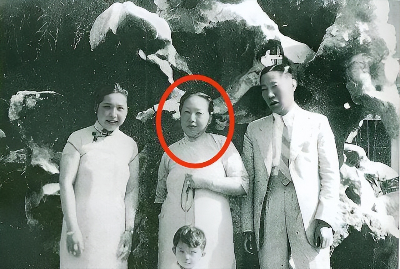 Soong Meiling never gave birth, why? Before his death, Jiang Weiguo ...
