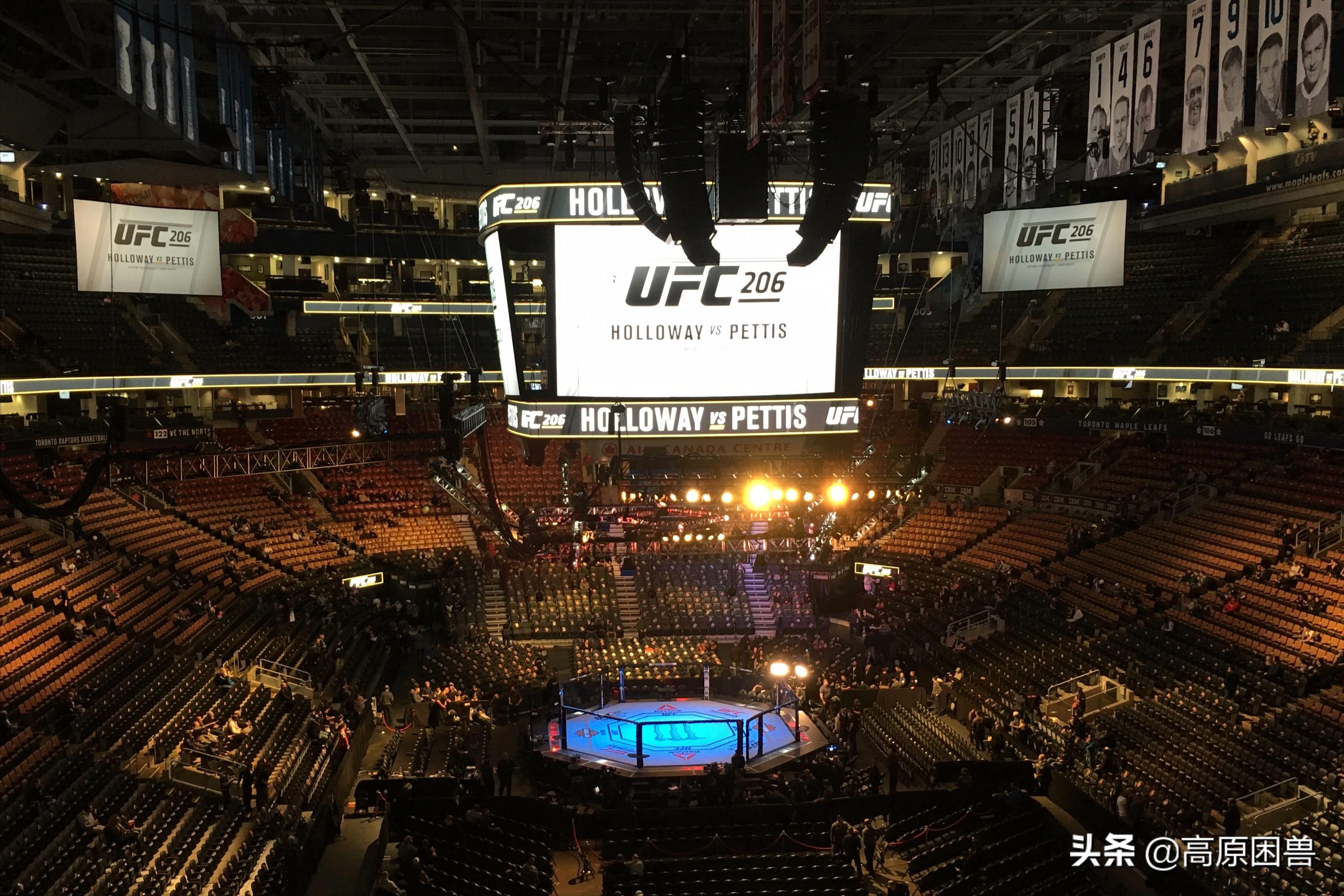 What are the weight classes of the UFC women's team?Which champions?Are ...