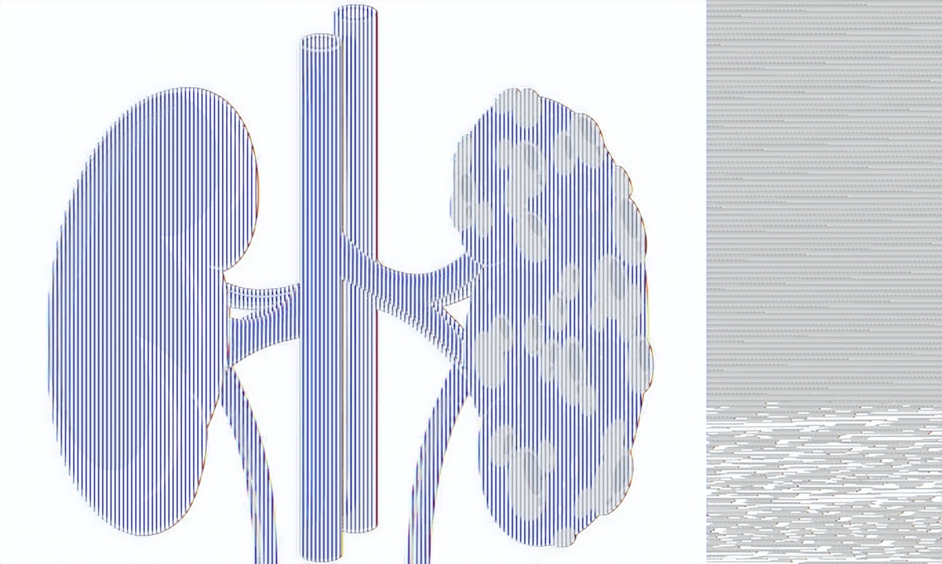 Understand the knowledge points of nephrology in one minute - iMedia