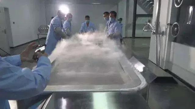 Do you think it is possible to revive human cryopreserved cells? - iNEWS