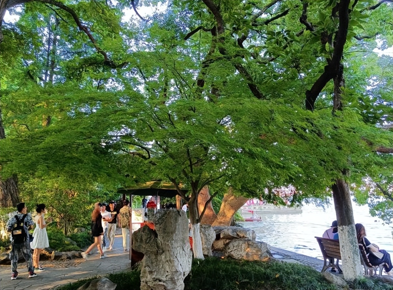 Hangzhou is a strange place to travel. I thought it was a vast area ...