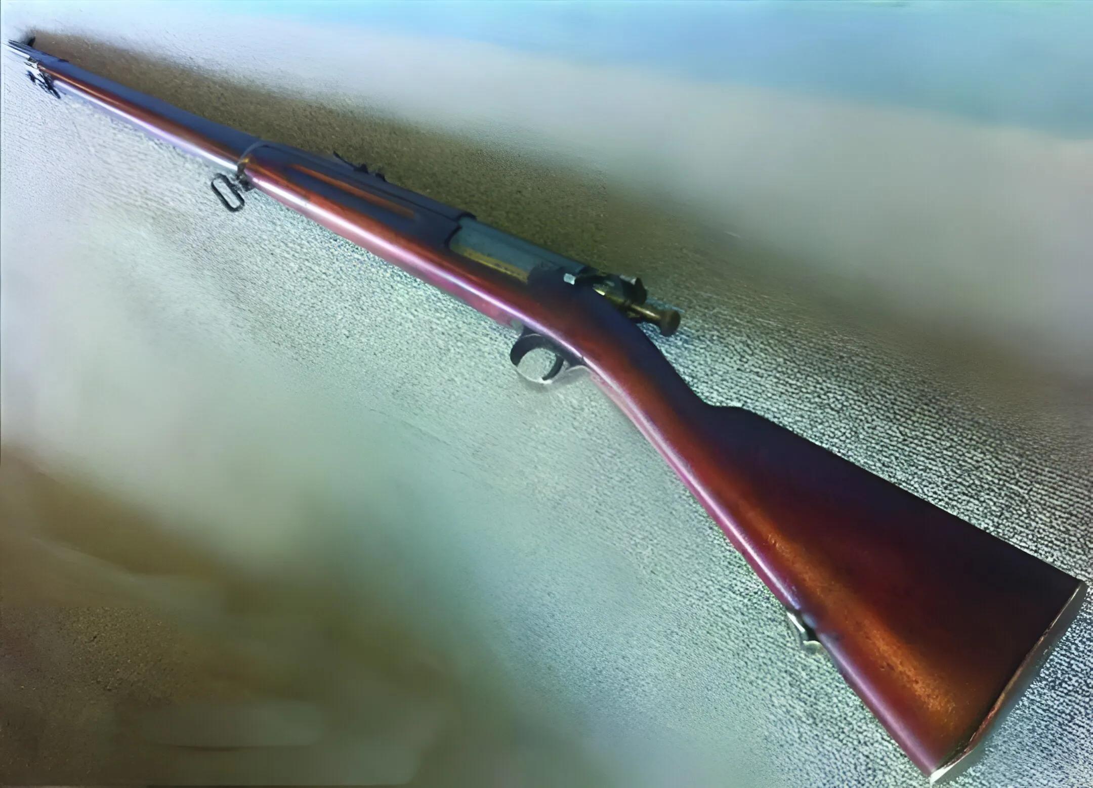 Cheap and easy to use the first valve rifle M1865 - iMedia