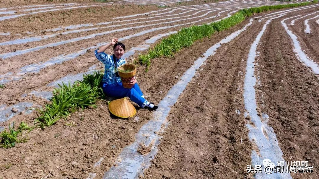 Tongchuan Yijun Terraced Fields"Photo by Zhang Baoguang, Tongchuan" - iNEWS